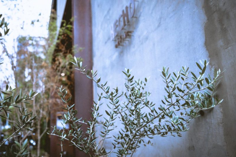 起點帶路｜來台中「做咖啡」 HECHO新型態登場 - KEEDAN.COM